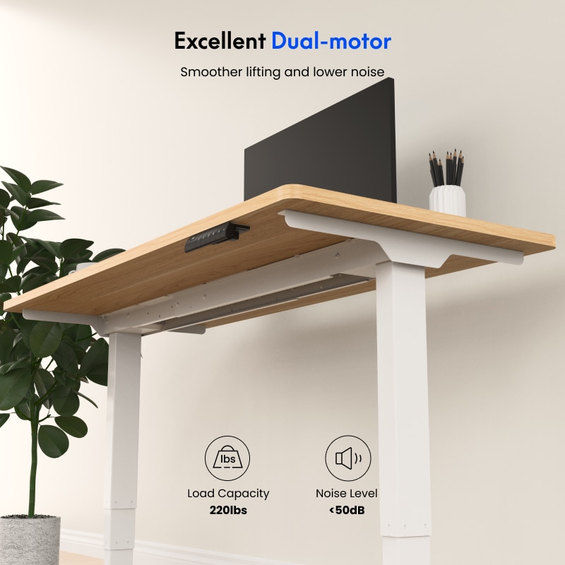 E5 Lite Electric Height Adjustable Standing Desk | FlexiSpot US